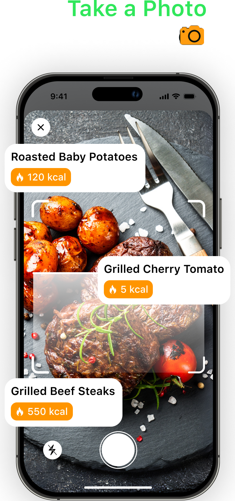 1cal.ai - AI Food Recognition & Nutrition Tracking